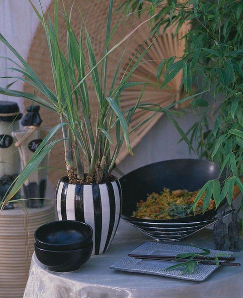 14 Effective Plants That Keep Lizards Away From Home & Garden