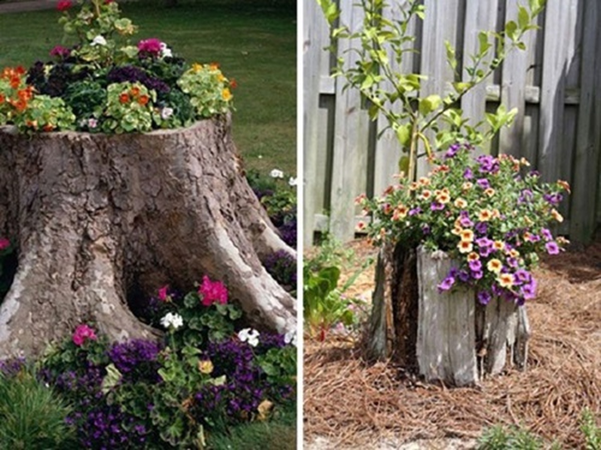 22 Blazing Tree Stump Planter Ideas That'll Transform Your Garden