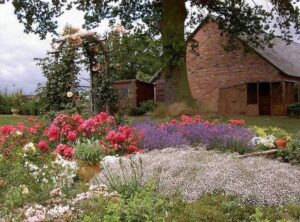 25 Stunning Lavender Garden Design Ideas for Perfect Landscaping