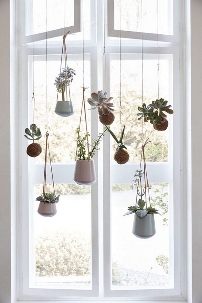 33 Gorgeous Hanging Plants for Front Windows to Brighten Your Home