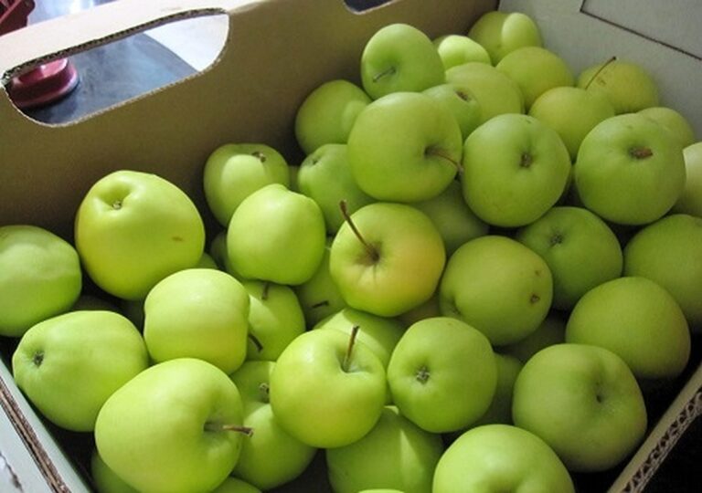 31 Delicious Green Apple Varieties to Taste This Season
