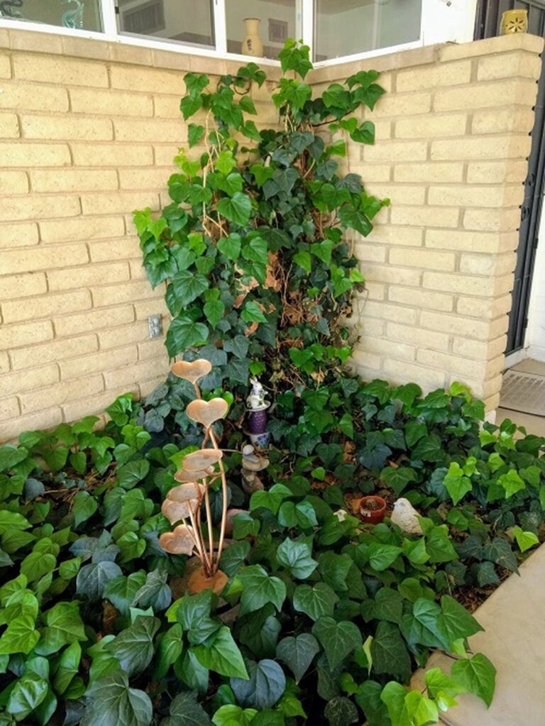 16 Surprising Common Plants That Attract Snakes to Your Garden