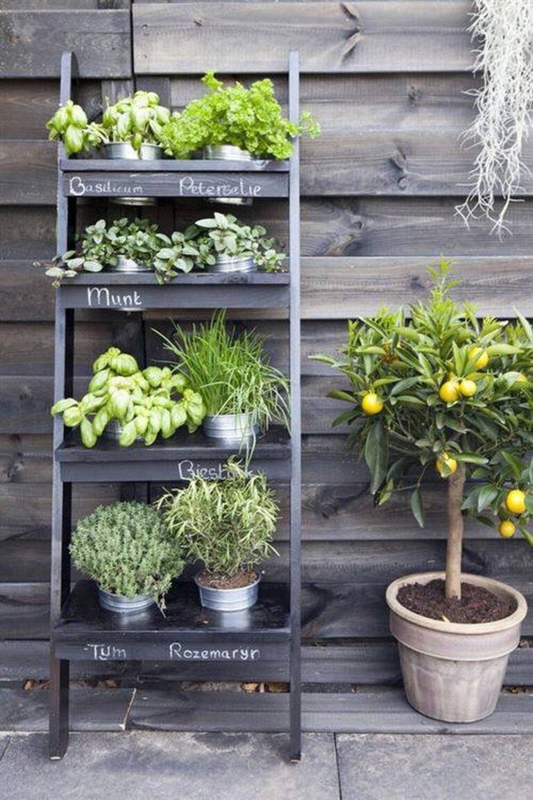 28 Genius Garden Plant Shelf Ideas to Brighten Your Outdoor Space