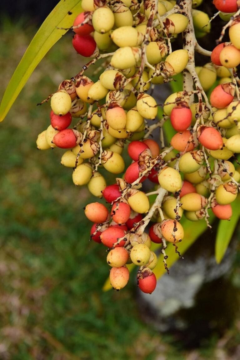 22 Amazing Fruit Trees that Grow in NC