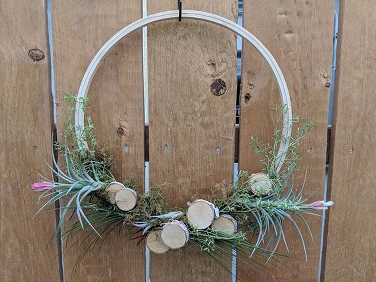 11 Stunning DIY Air Plant Wreath Ideas to Brighten Your Home