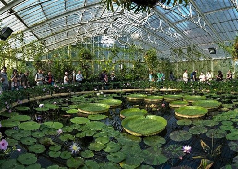 19 Breathtaking Botanical Gardens in the World to Explore