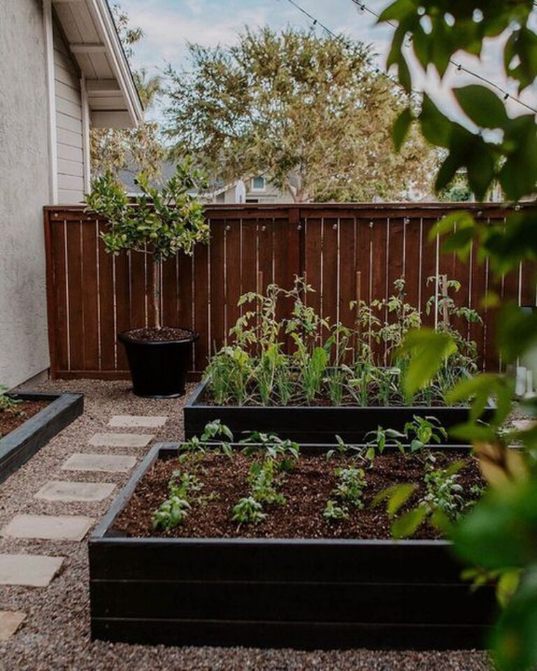 19 Charming Side Yard Decoration Ideas to Make