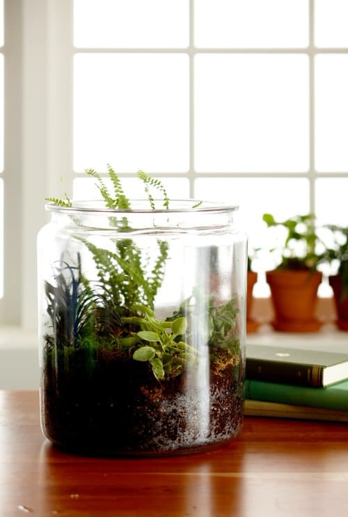 16 Charming Vintage Terrarium Ideas to Bring Home Today