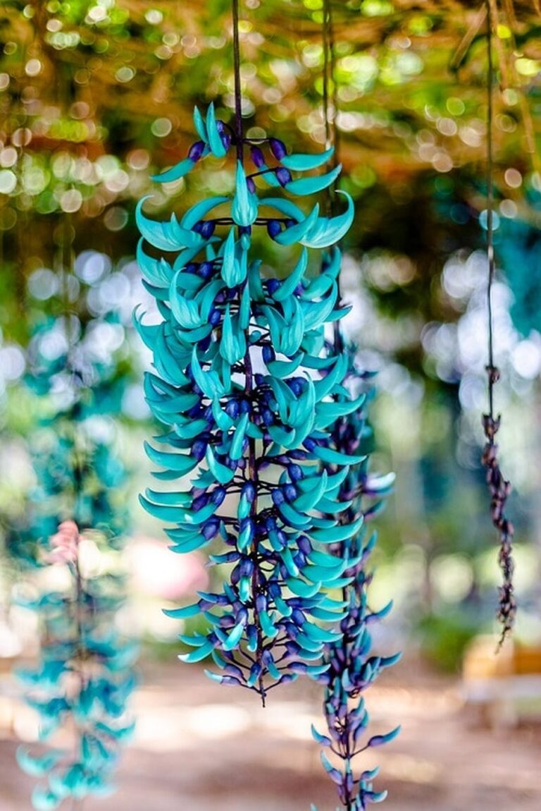 22 Breathtaking Rare and Most Endangered Flowers To Discover