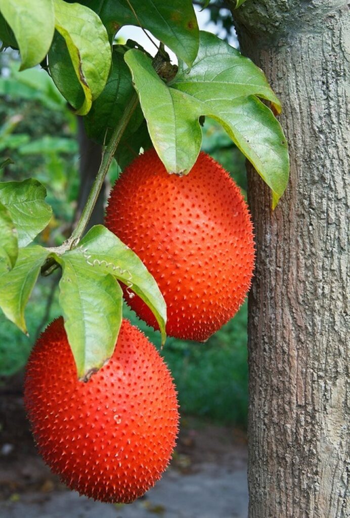 11 Smelly Fruits that Stink and Smell: Hold Your Nose!