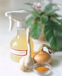 17 Clever DIY Homemade Mosquito Repellent Ideas That Actually Work