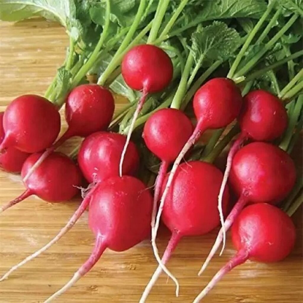 40 Exciting Radish Varieties Perfect for Your Container or Garden