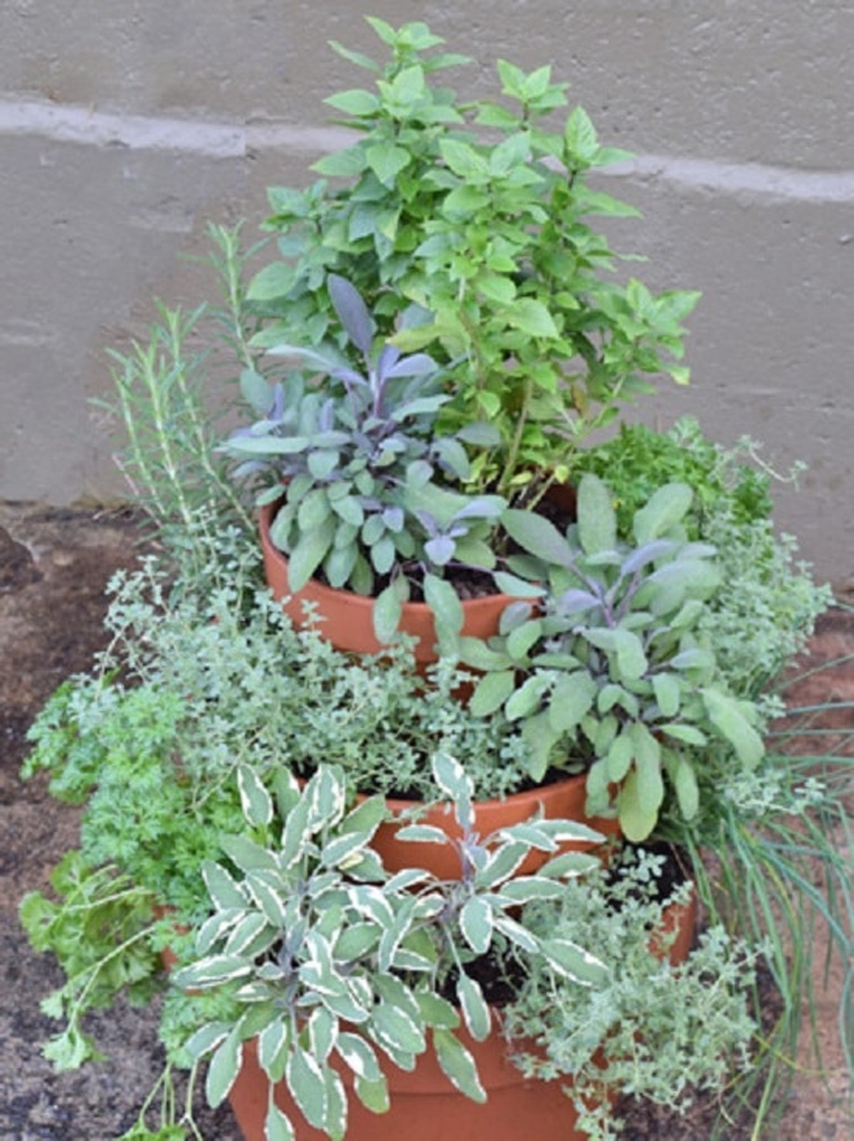 12 Clever Space Saver DIY Herb Tower Ideas for Small Gardens