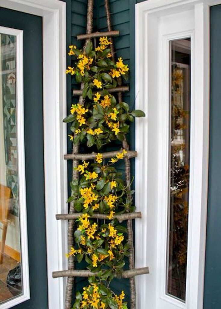 20 Charming DIY Ladder and Trellis Ideas for Houseplants
