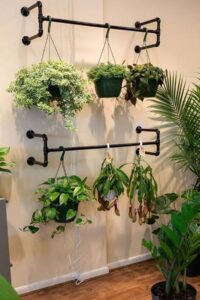 26 Fantastic Ways to Hang Plants on the Wall Like Pros