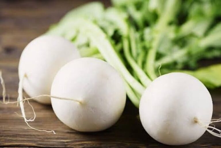 23 Delicious Types of Turnips: Best Varieties for Your Garden
