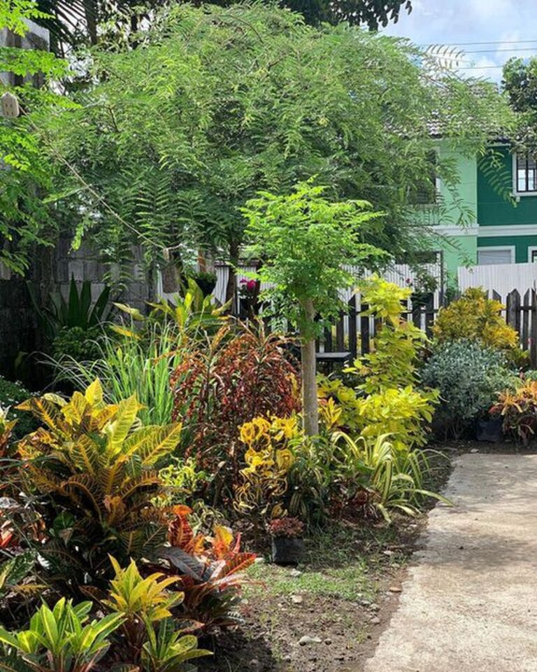 25 Breathtaking Landscaping with Croton Pictures to Inspire