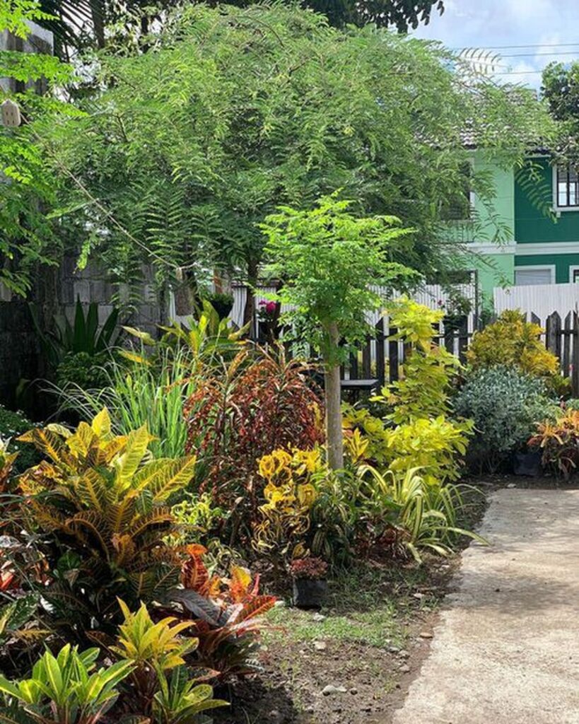 25 Breathtaking Landscaping with Croton Pictures to Inspire