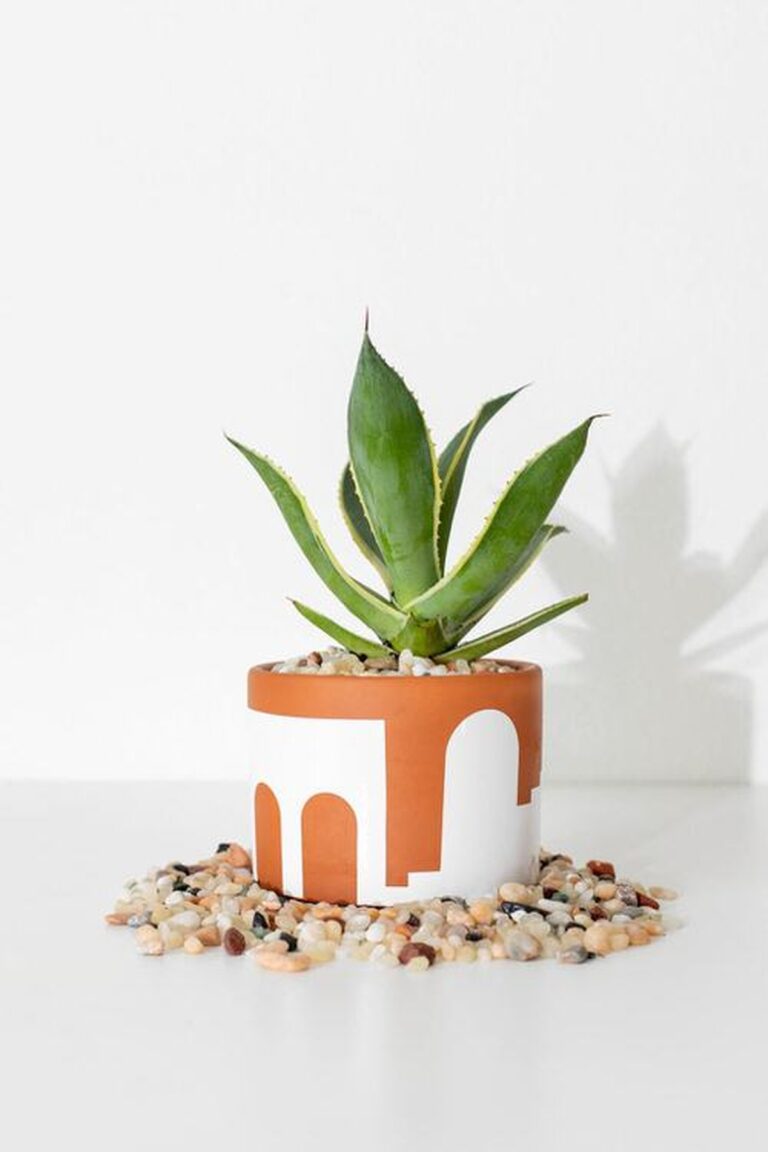 20 Brilliant Ways to Transform Cheap Pots into Expensive DIY Planters