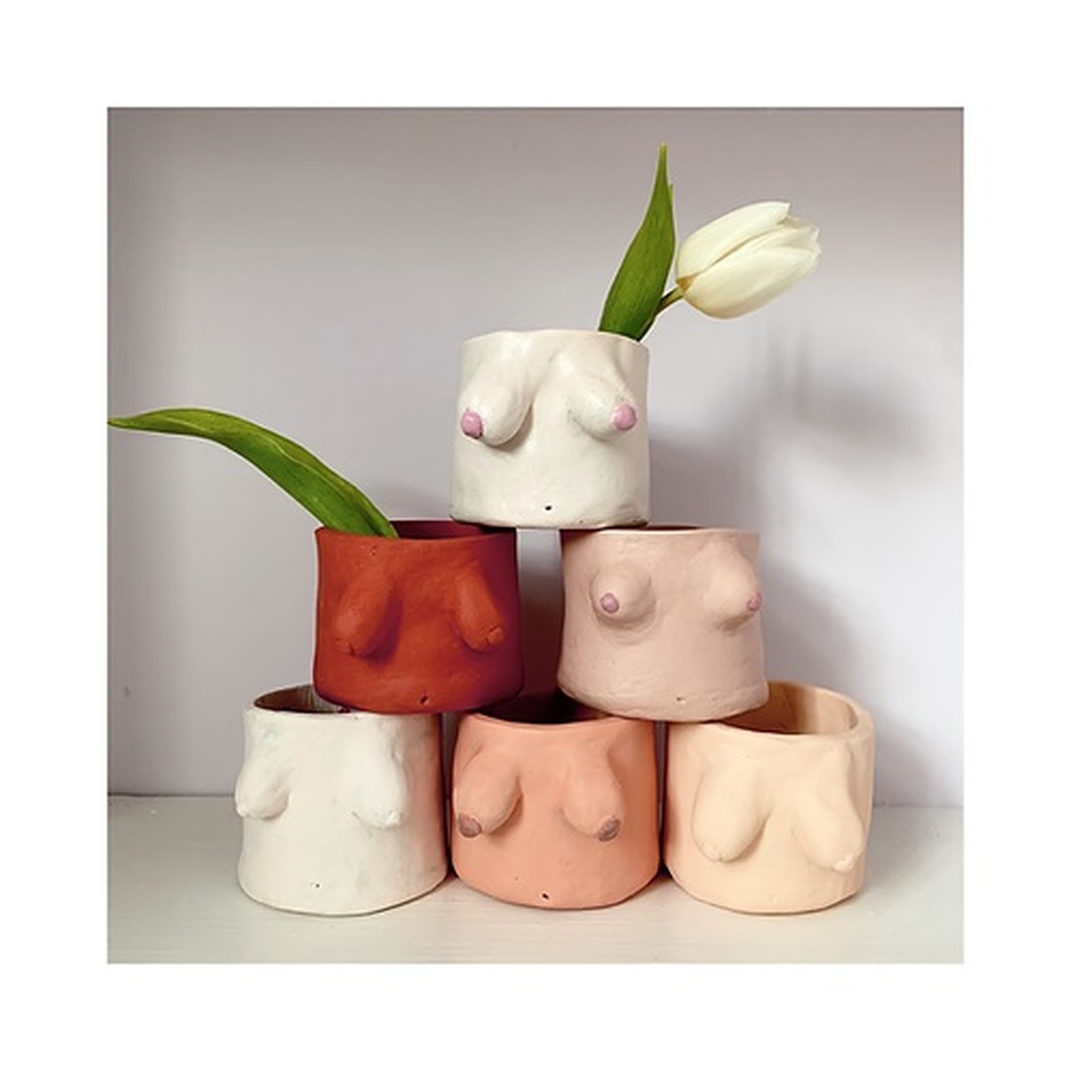 15 Charming DIY Breast Planters to Liven Up Your Garden