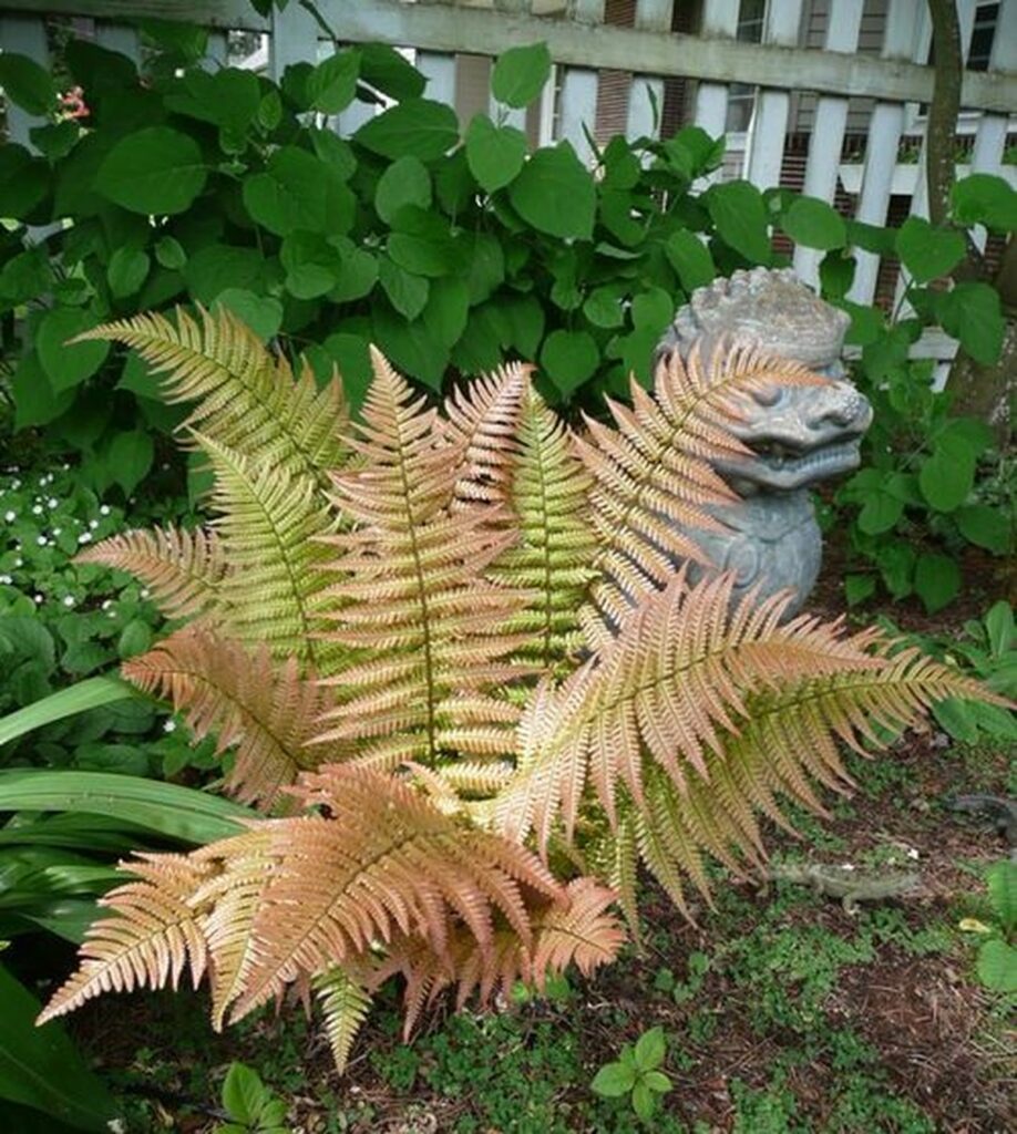 24 Breathtaking Plants That Look Like They Are Made Of Copper