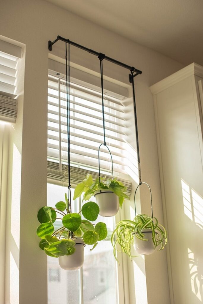 33 Gorgeous Hanging Plants for Front Windows to Brighten Your Home