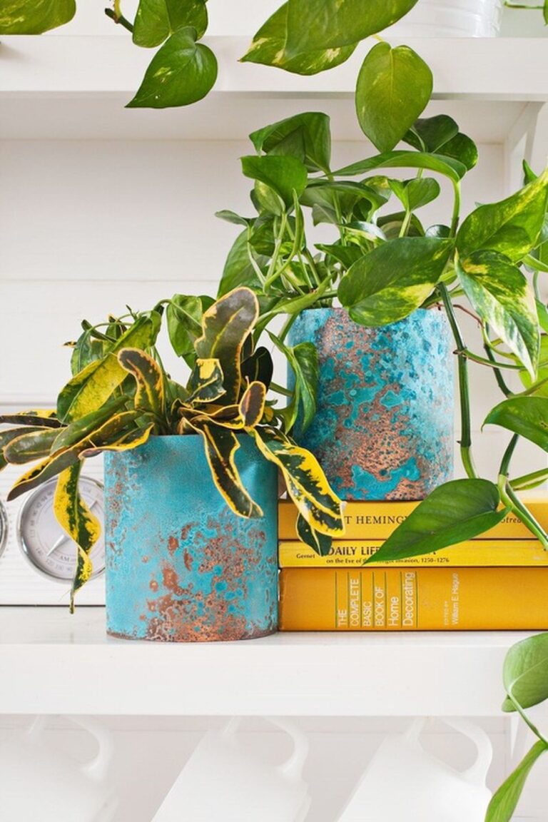 20 Brilliant Ways to Transform Cheap Pots into Expensive DIY Planters