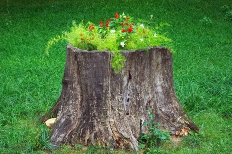 22 Blazing Tree Stump Planter Ideas That'll Transform Your Garden