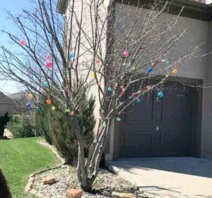 22 Charming DIY Garden Decor Ideas Using Tree Branches