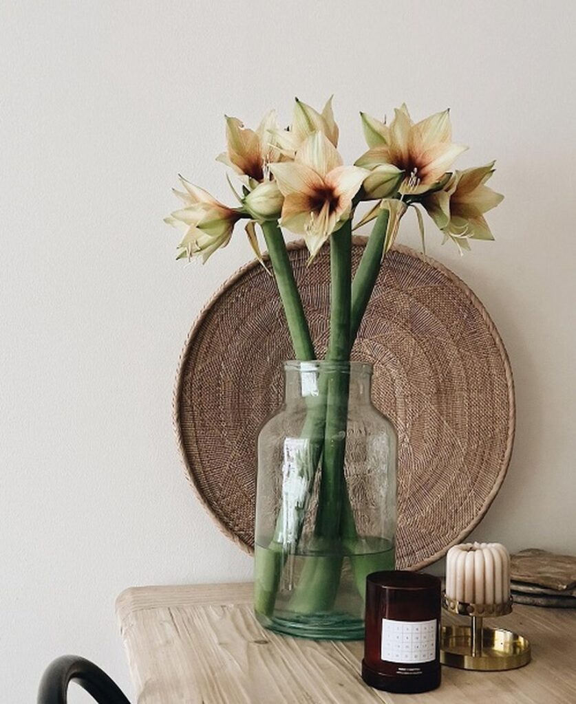 15 Beautiful Beige Flowers That Brighten Any Garden