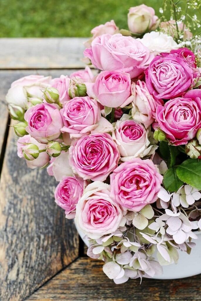 13 Beautiful Flowers That Represent Femininity and Grace