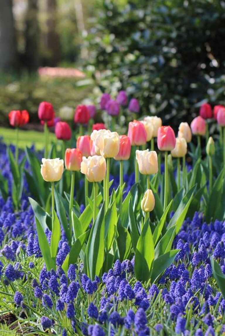 25 Powerful Flowers That Represent Strength - Nature's Warriors!