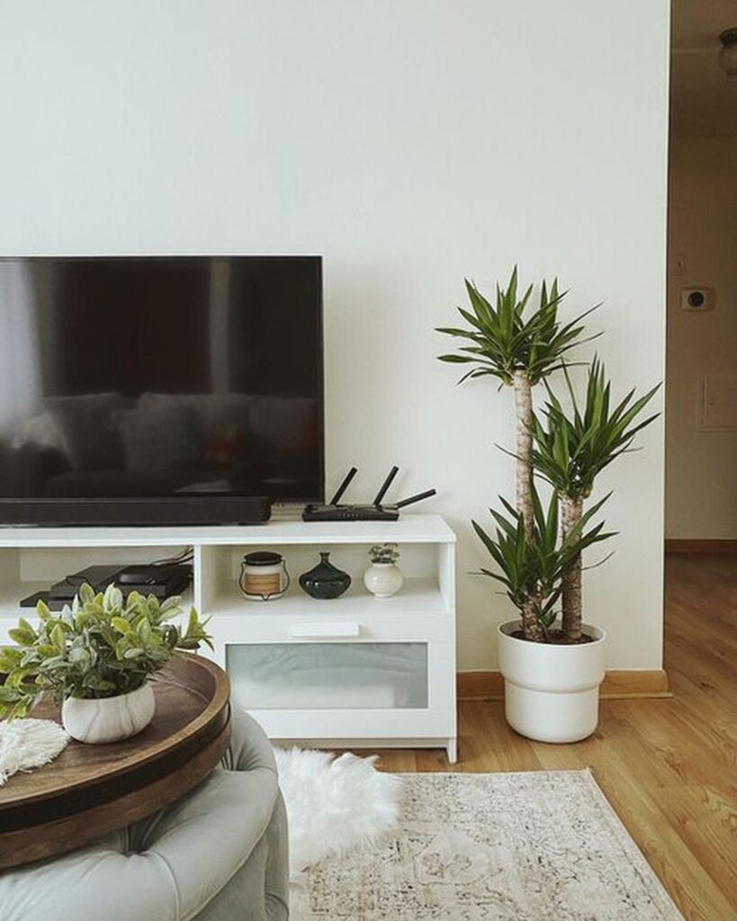 27 Stunning Ways IKEA Pots Transform Your Indoor Plants