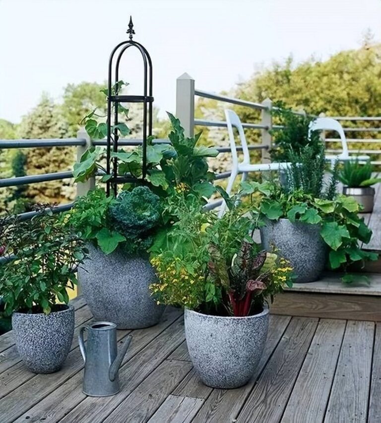 14 Simple Container Garden Design Ideas for a Lovely Outdoor Space