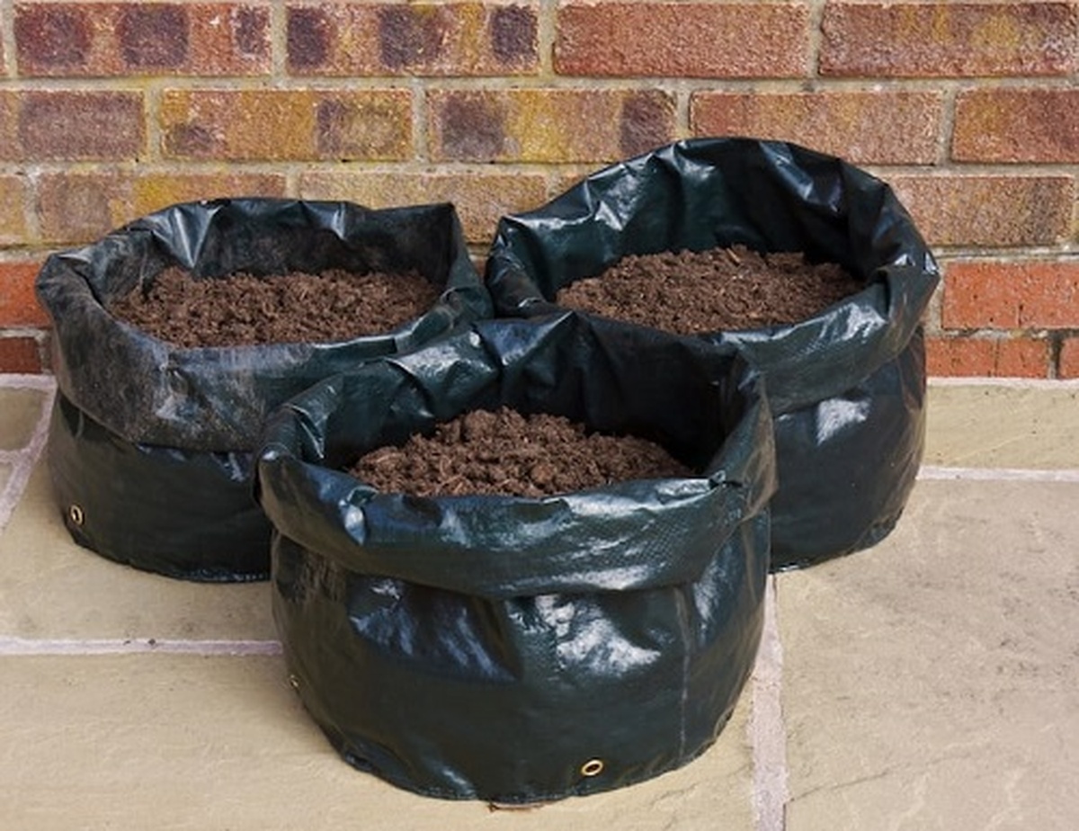 12 Clever DIY Potato Pots for Easy, Dig-Free Growing
