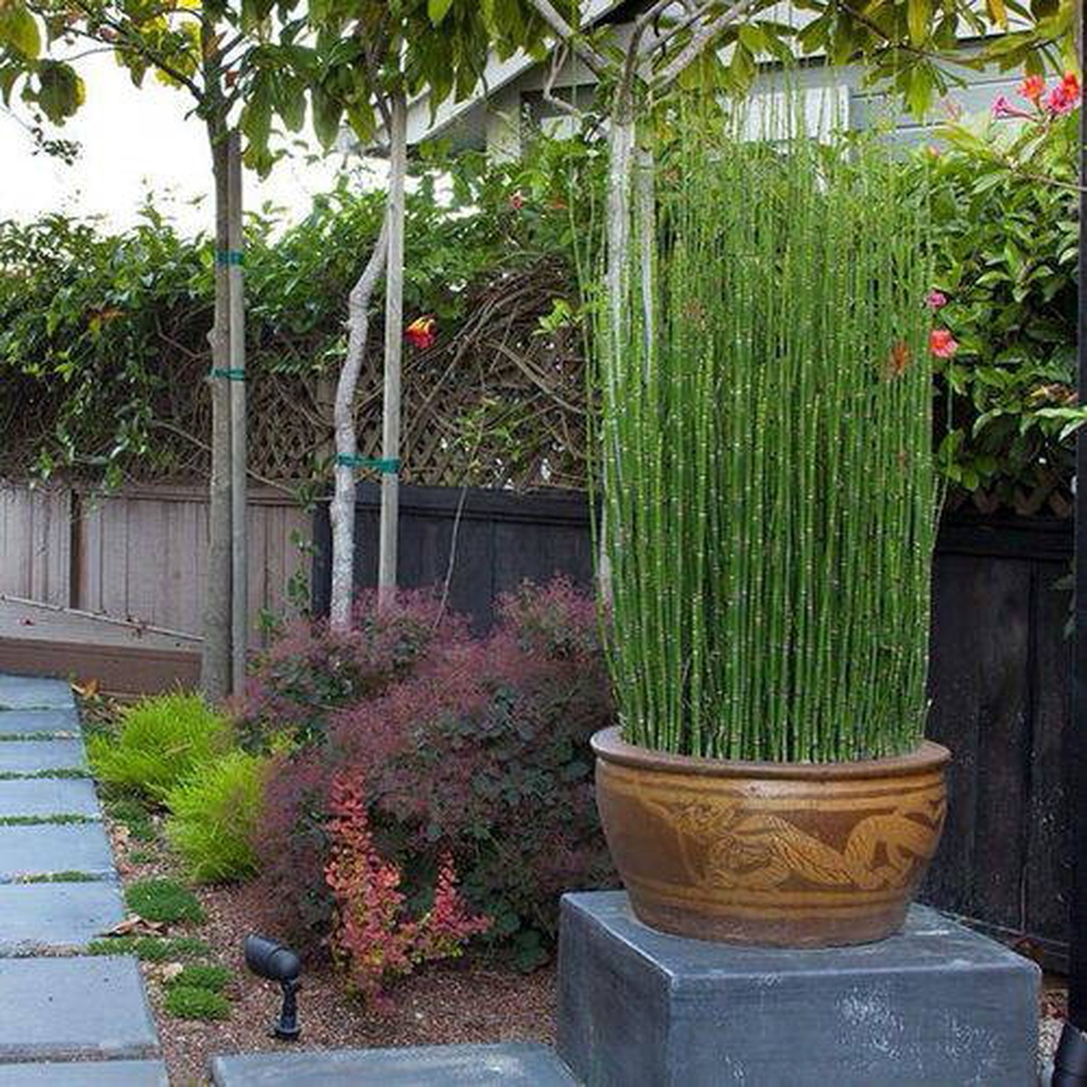 11 Powerful Plants That Naturally Encourage Hair Growth