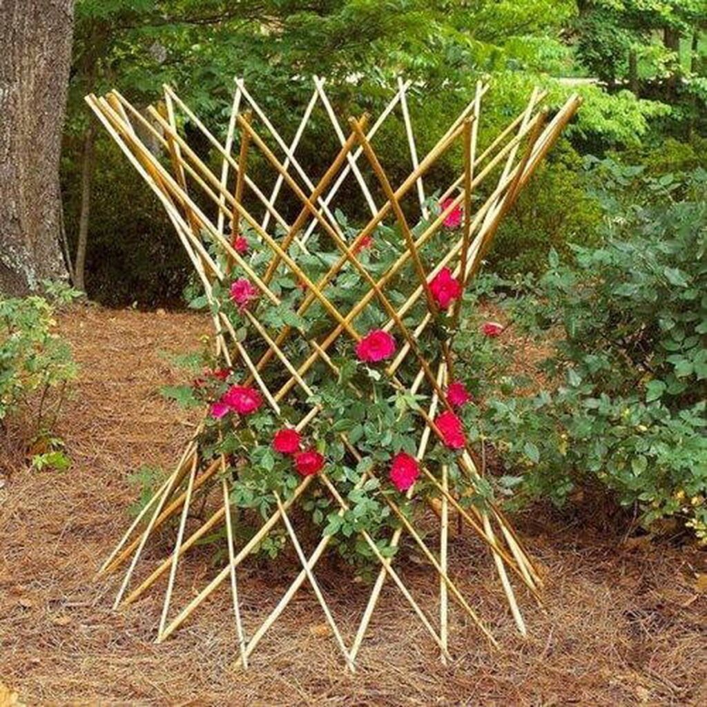 26 Beautiful DIY Rose Trellis Ideas for Your Garden