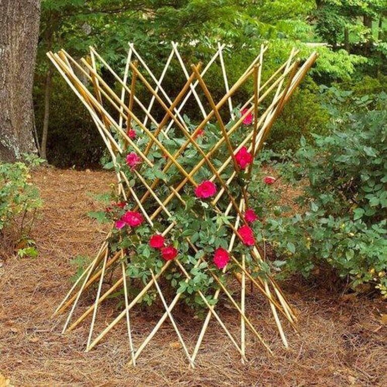 26 Beautiful DIY Rose Trellis Ideas for Your Garden