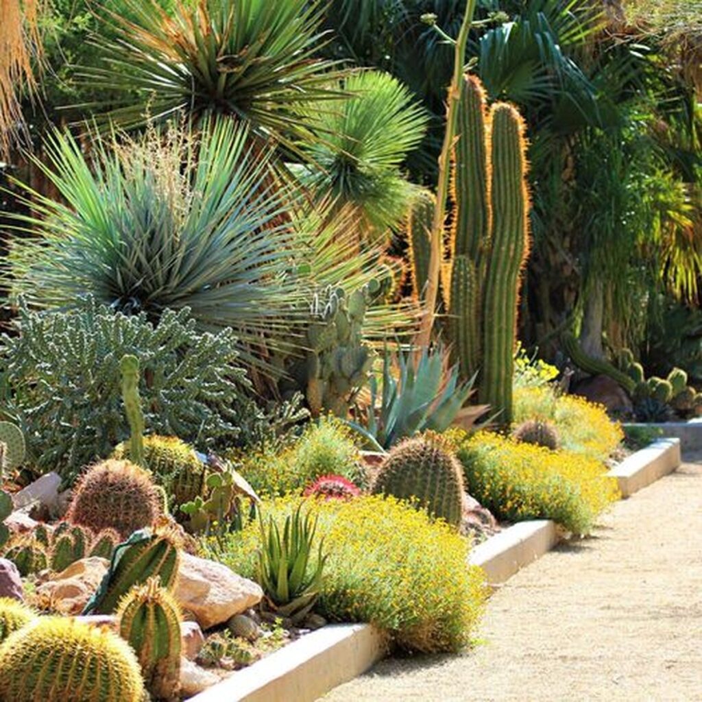 35 Stunning Desert Landscaping Ideas Pictures to Transform Your Yard