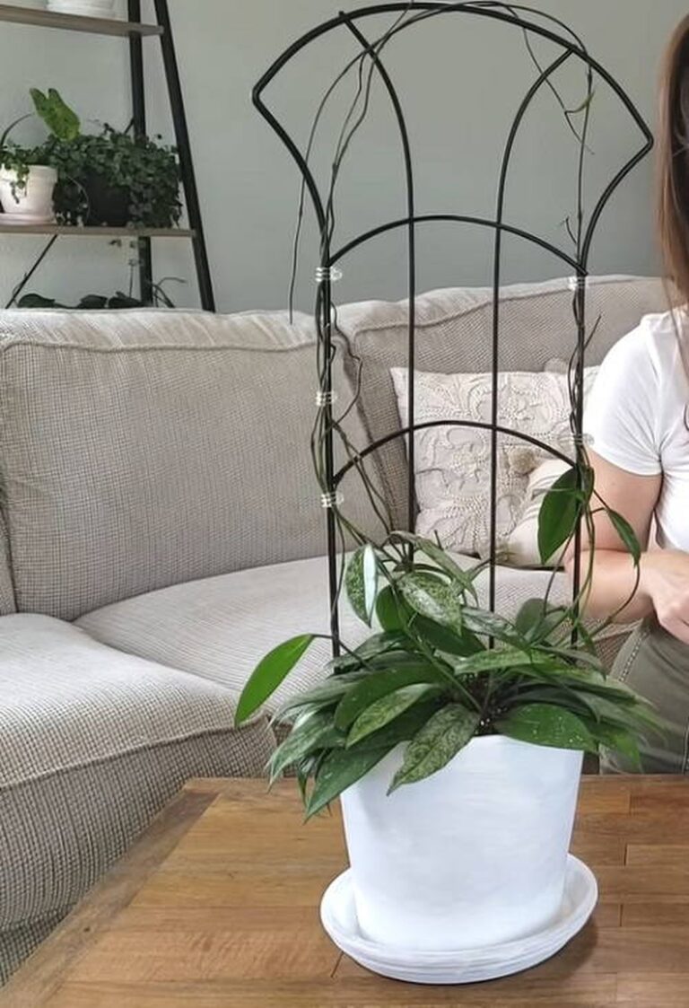23 Beautiful DIY Plant Trellises for Pots Anyone Can Make