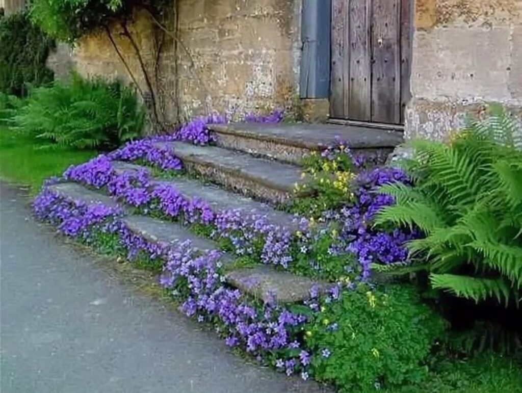 20 Stunning Plants for Steps and Staircases That Transform Space