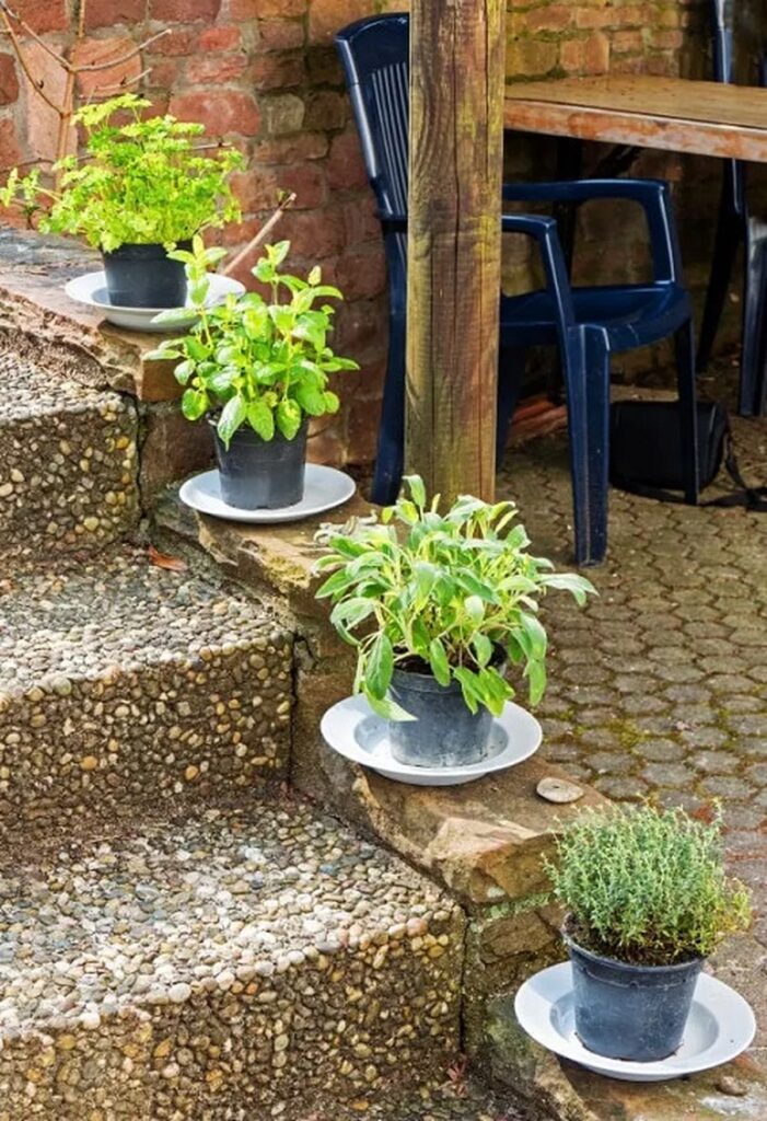 20 Stunning Plants for Steps and Staircases That Transform Space