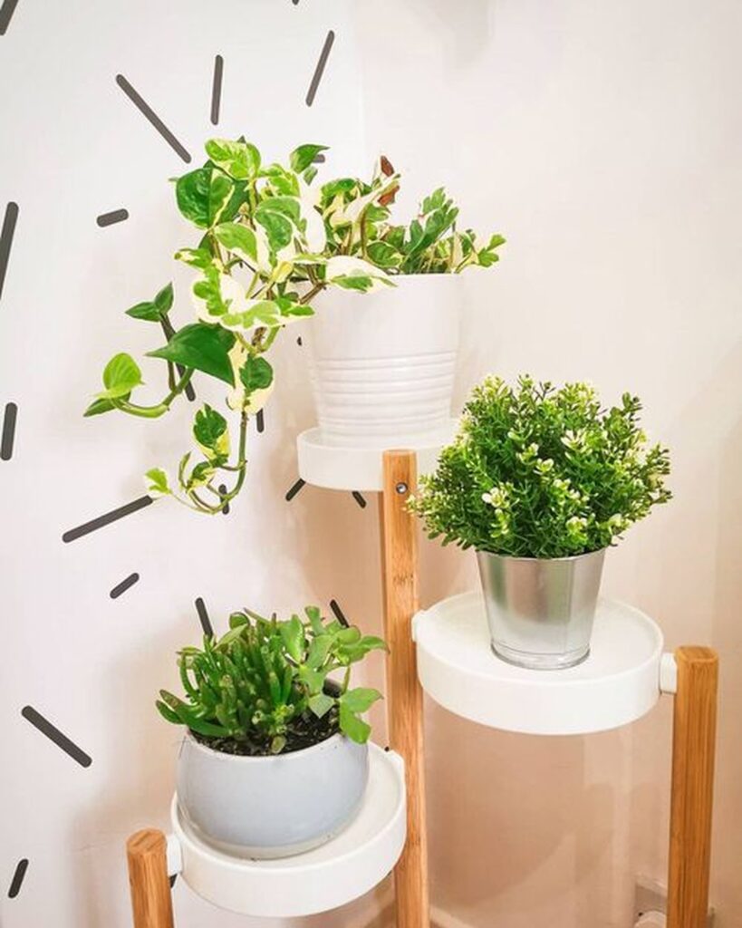 27 Stunning Ways IKEA Pots Transform Your Indoor Plants