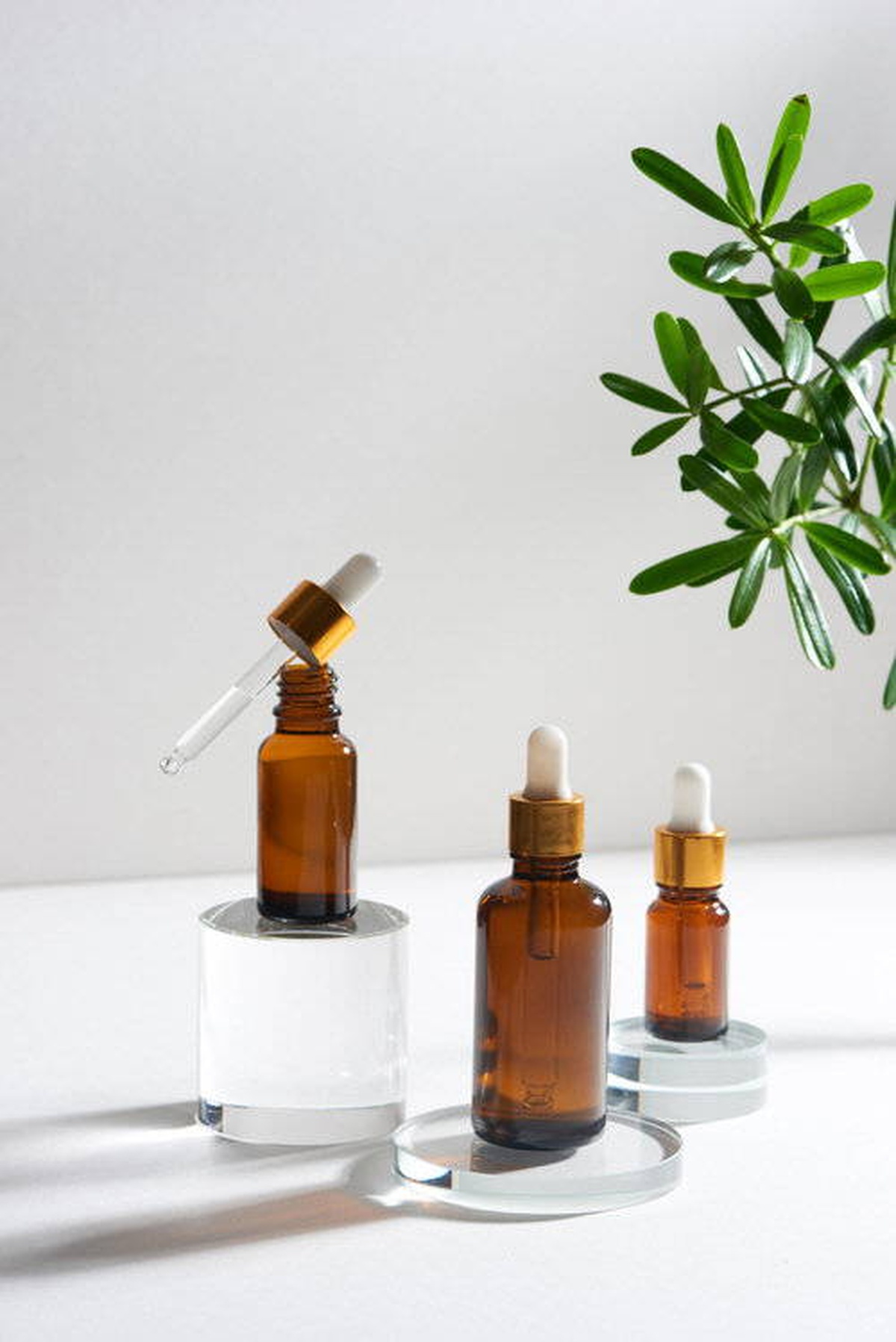 8 Easy DIY Leaf Shiner Recipes for Stunning Plant Glow