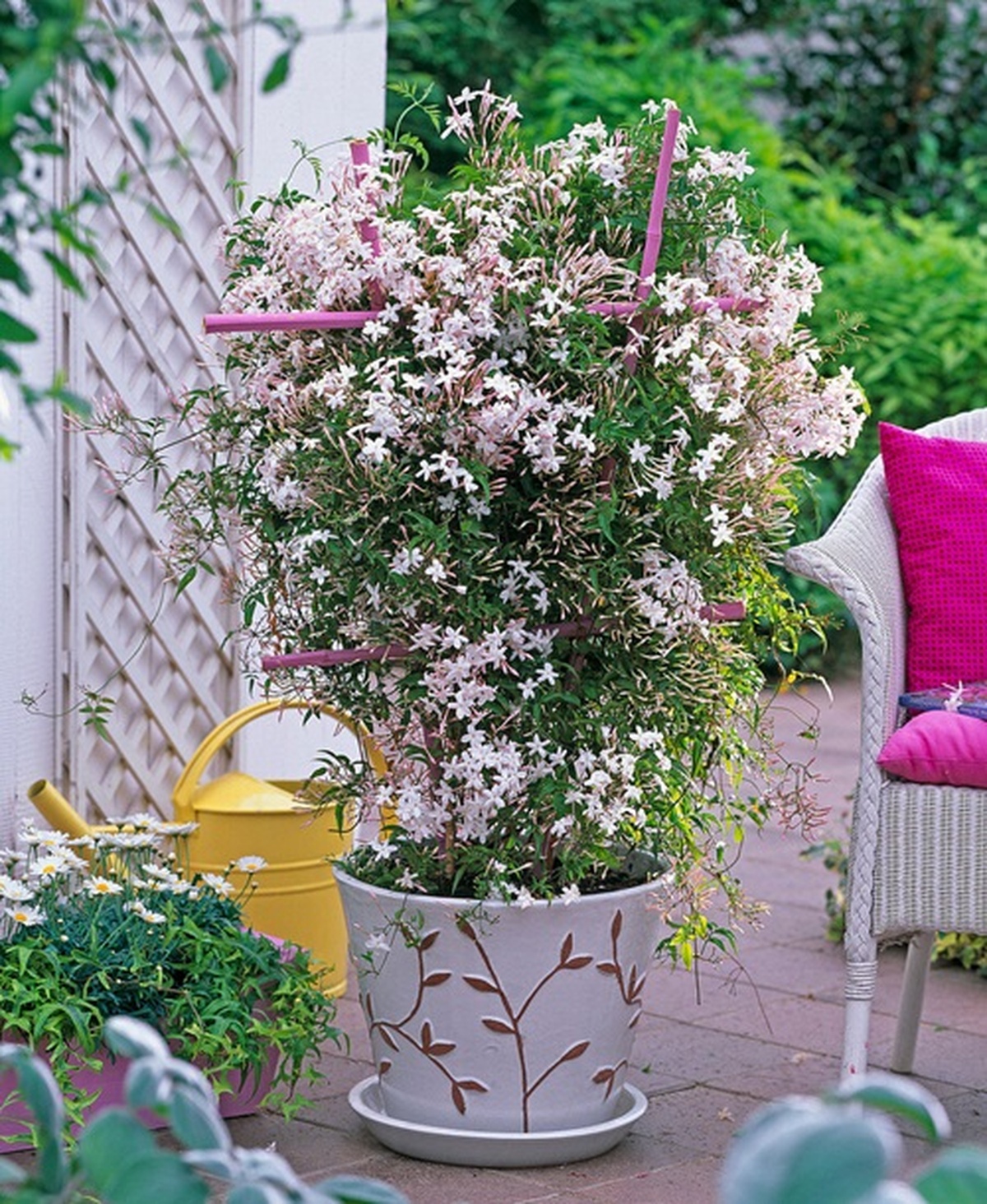 13 Beautiful Flowers That Represent Femininity and Grace