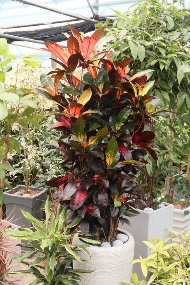 24 Breathtaking Plants That Look Like They Are Made Of Copper