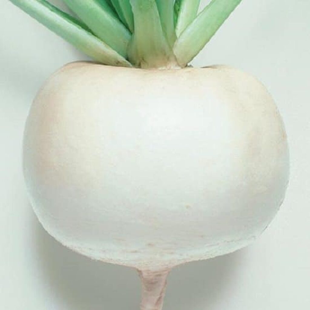 23 Delicious Types of Turnips: Best Varieties for Your Garden