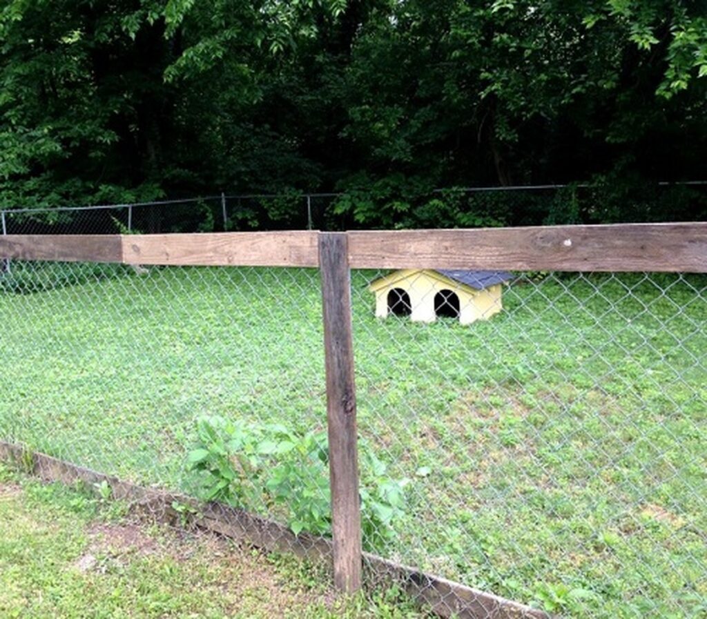 32 Charming Vegetable Garden Fence Ideas That Wow