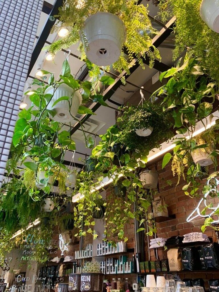29 Stunning Plant Ceiling Ideas to Transform Your Space