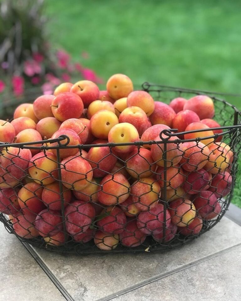 34 Fascinating Man Made Fruits That Will Amaze Your Taste Buds